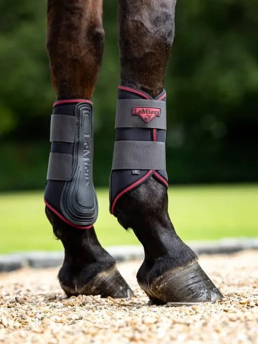 New LeMieux Ember & Cinder Collection – Ayr Equestrian