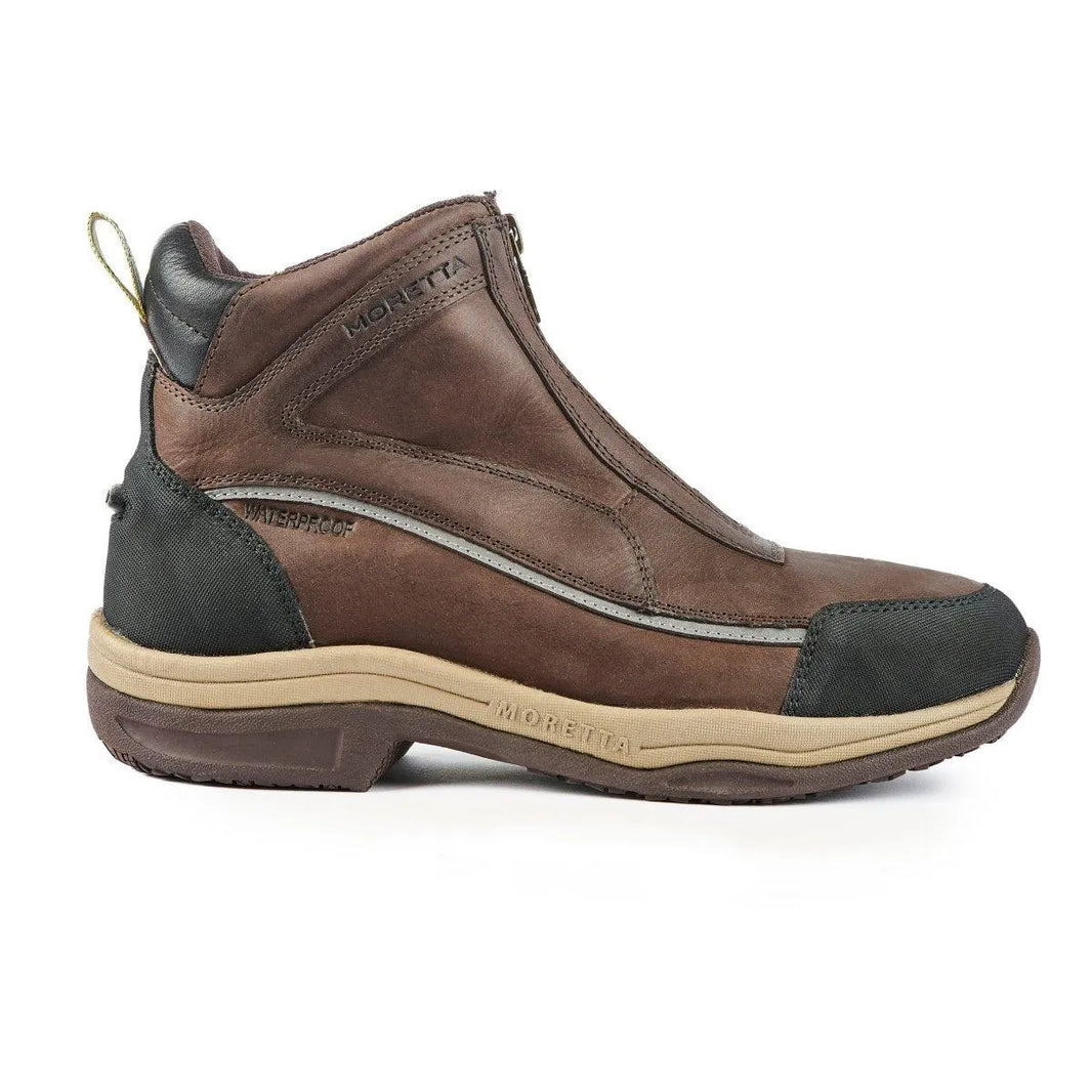 Moretta – Ayr Equestrian