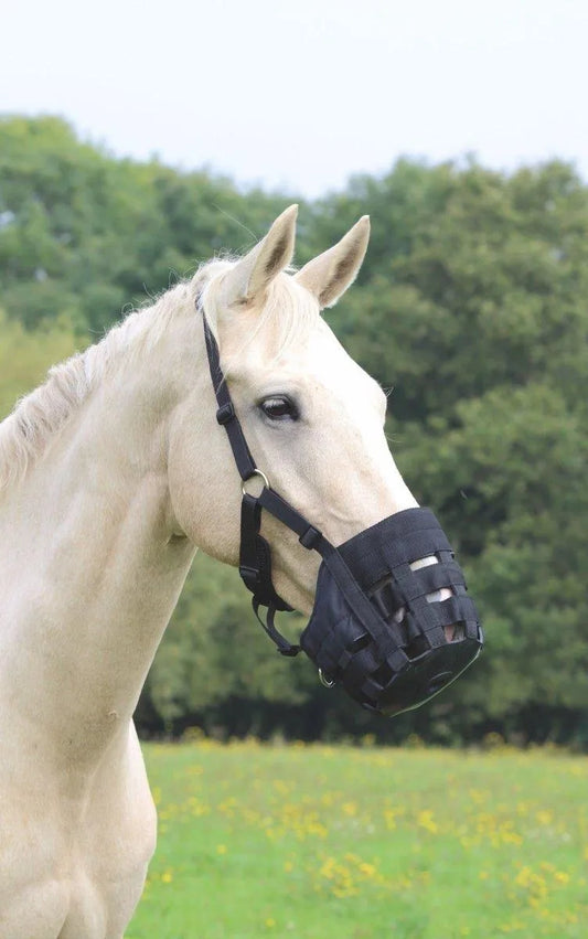 Grazing Muzzles for Horses and Ponies | Ayr Equestrian