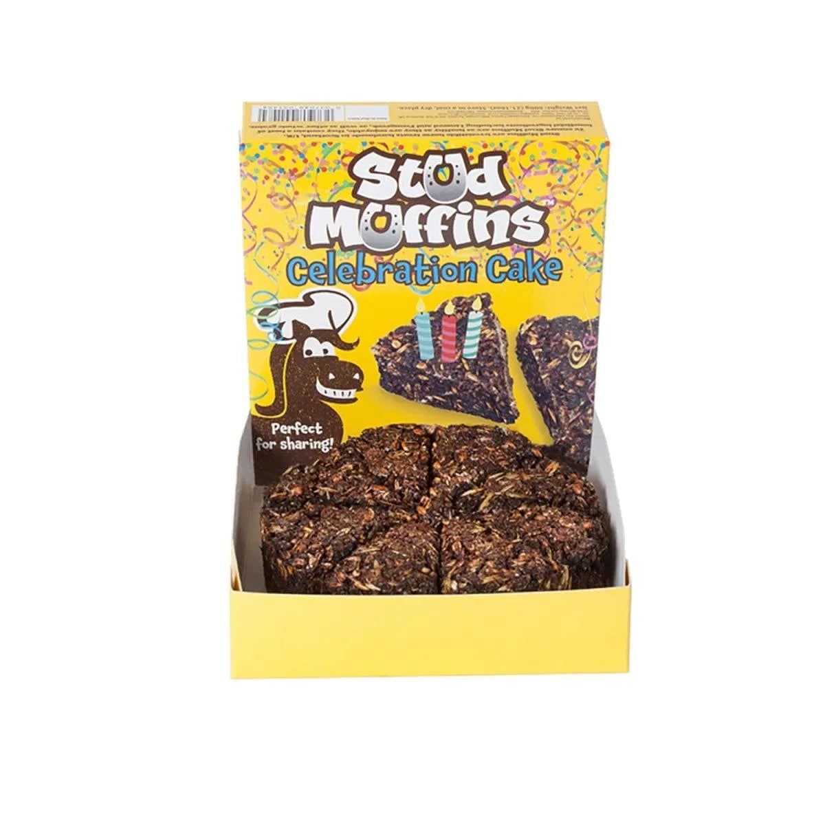 Stud Muffins Celebration Cake | Ayr Equestrian