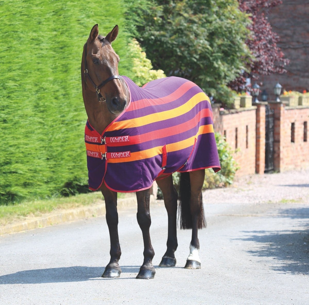 Tempest Original Newmarket Fleece Rug | Ayr Equestrian